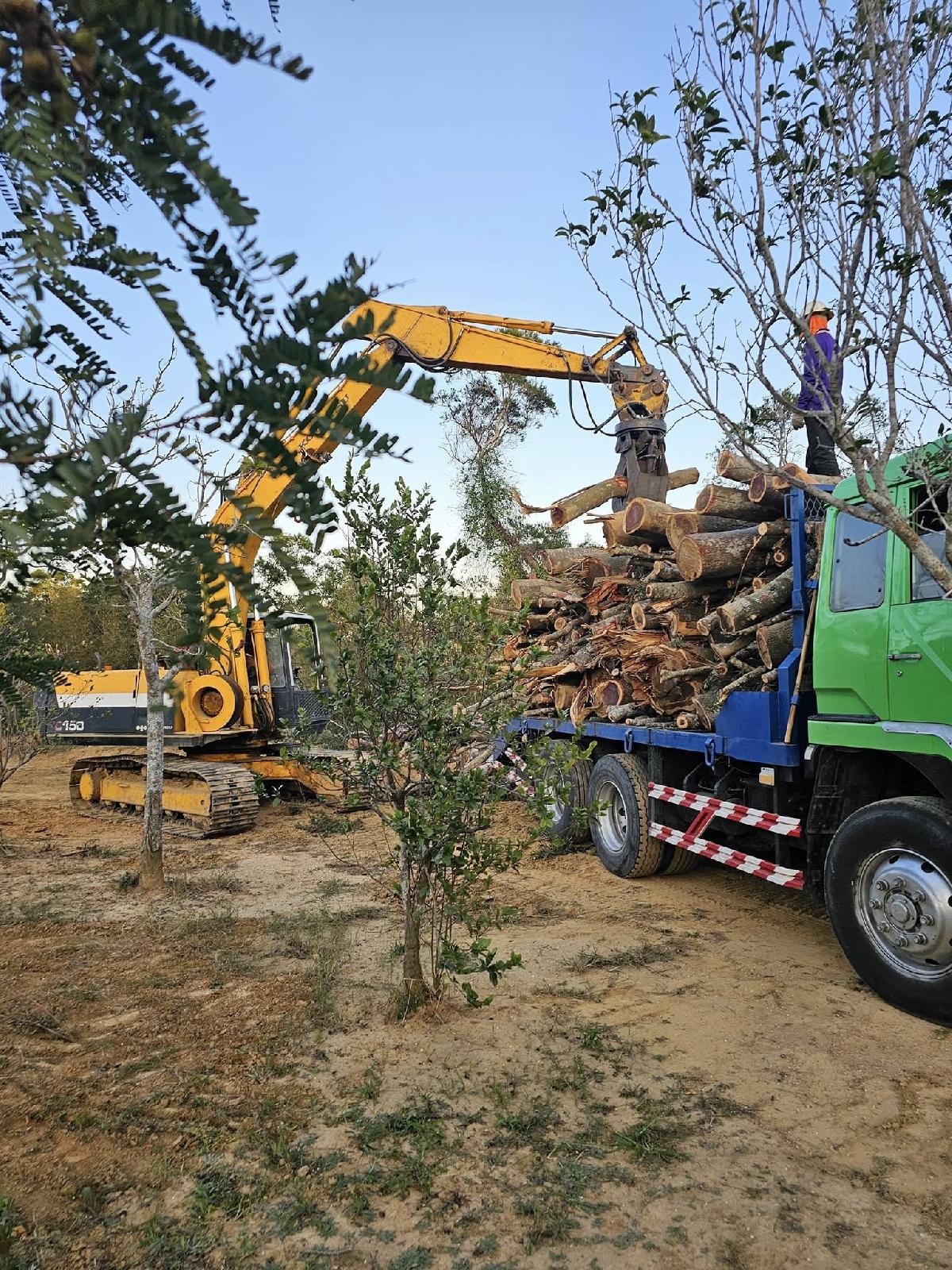 財溢鑫工程行-苗栗怪手出租、苗栗土木工程、苗栗伐木